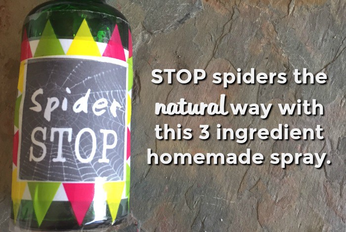 Stop spiders the natural way.... - The Diary of a Frugal Family
