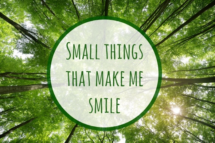 Small things that make me smile {August 2017}.... - The Diary of a ...